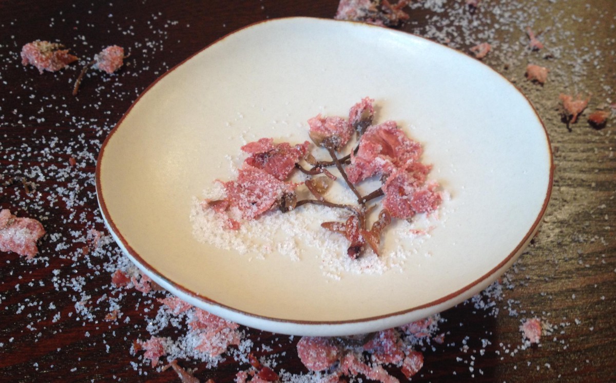 Sakura Countdown – The Taste of Japan