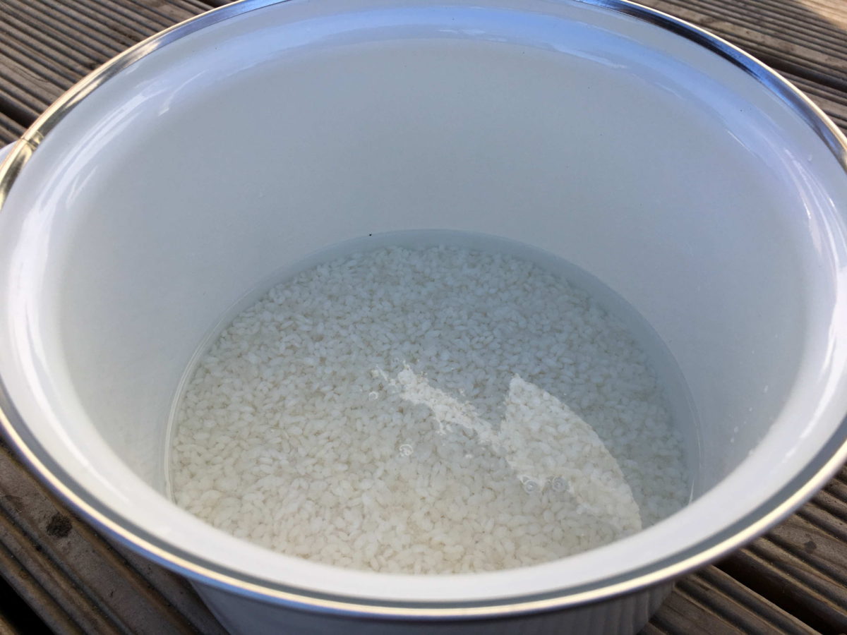 Soaking Rice – The Taste of Japan