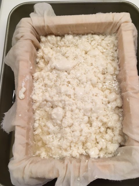 From the kitchen lab: Making tofu at home – The Taste of Japan